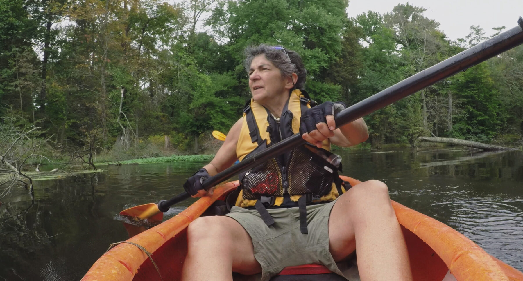 Cast – American River